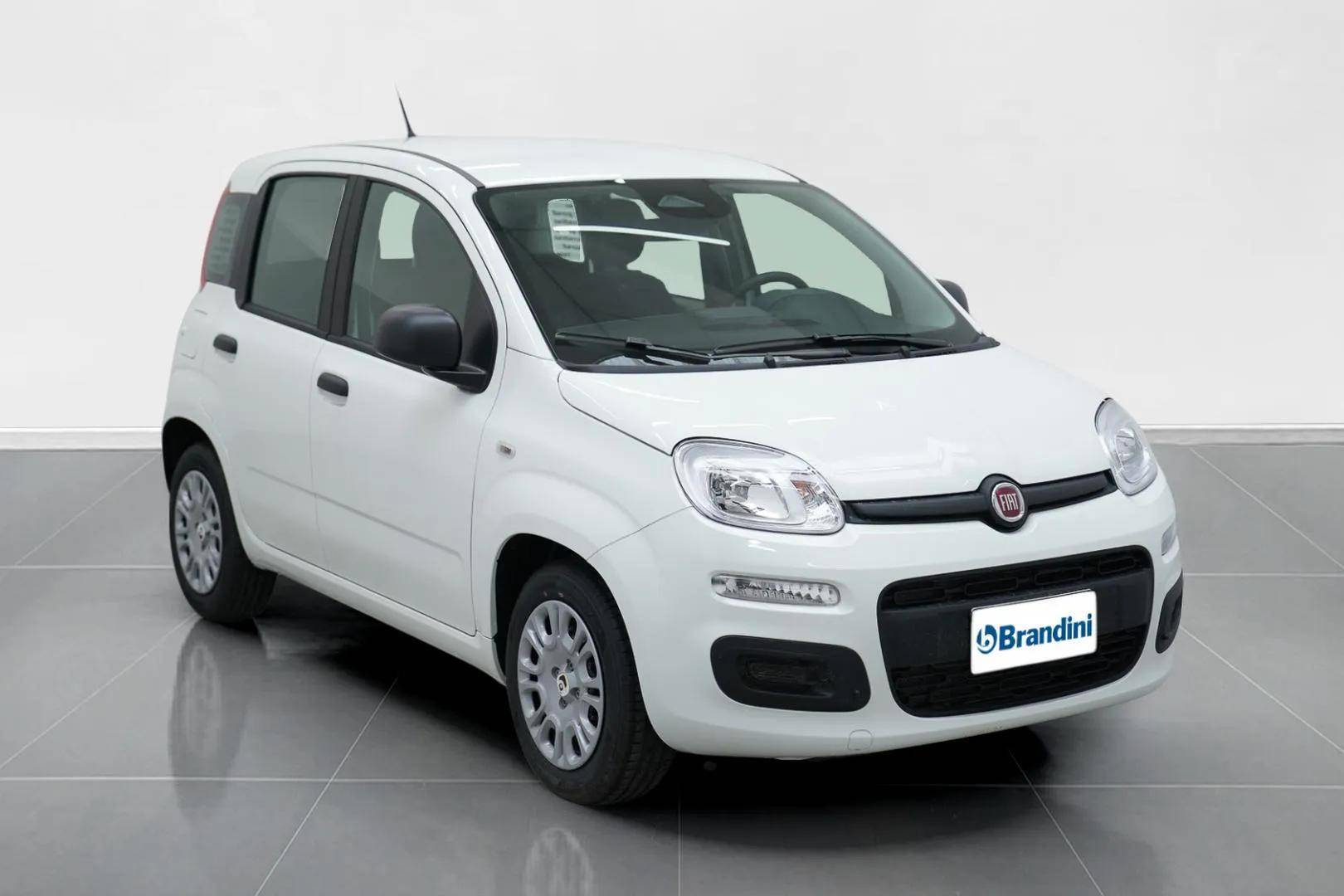 FIAT Panda Pandina 1.0 firefly hybrid Pop s&s 65cv usata in pronta ...
